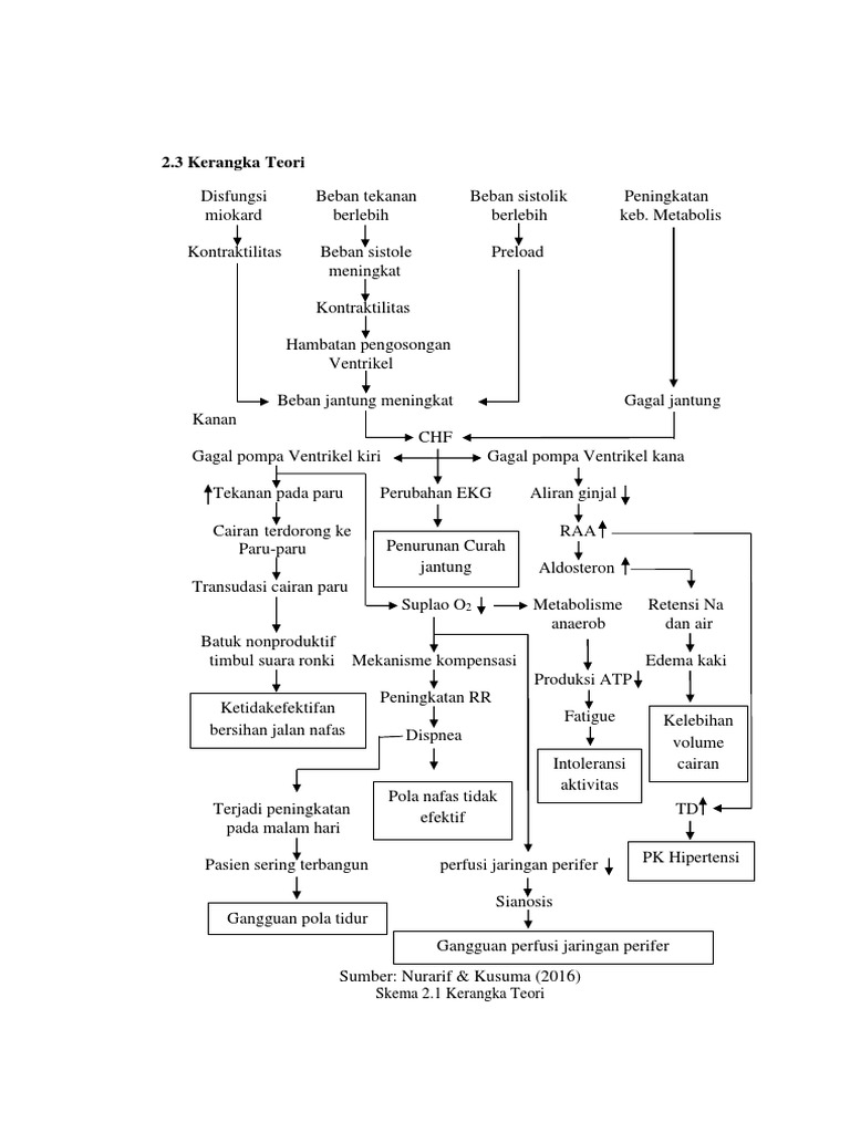 Pathway Gagal Jantung Kongestif | PDF