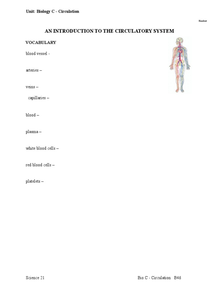 Bio Circulatory System Worksheets | PDF | Atrium (Heart) | Circulatory ...