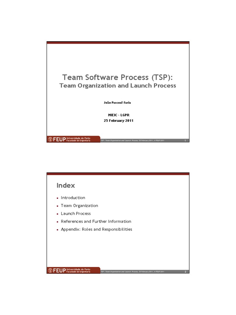 Tsp Team Organization And Launch Process Pdf Pdf Software Testing