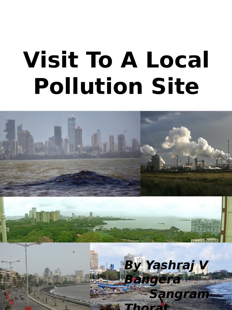 315905337-Visit-to-a-Local-Pollution-Site-by-YASHRAJ.pdf | Municipal ...