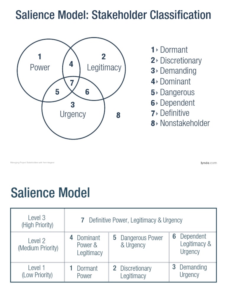 Salience Model: Stakeholder Classification | PDF