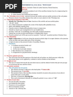Post-Dam Techniques in Complete Dentures | PDF | Dentures | Nature