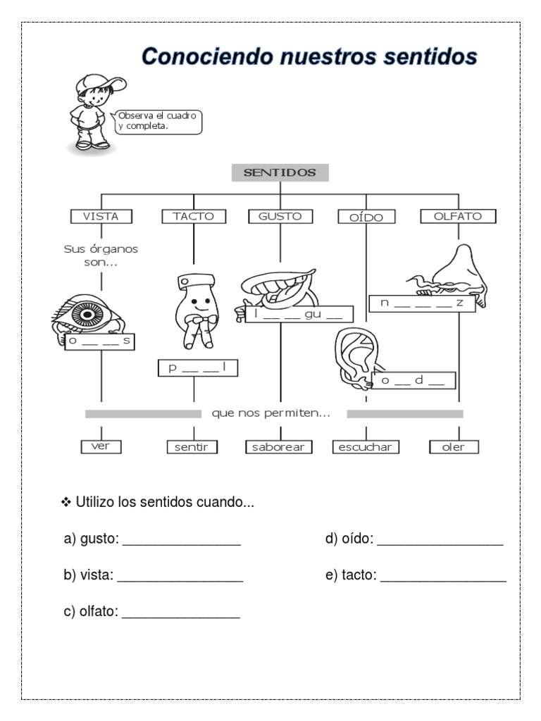 Sesión de Aprendizaje 01 | PDF | Gusto | Sentidos
