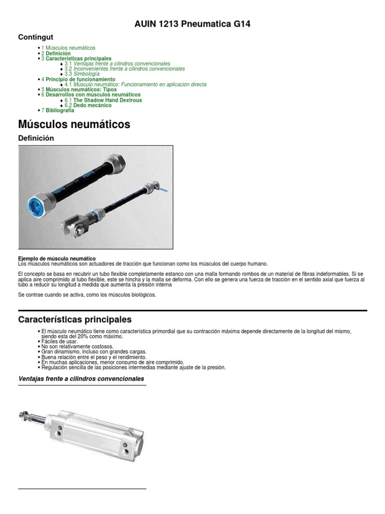 AUIN 1213 Pneumatica G14 | PDF | Músculo | Neumático