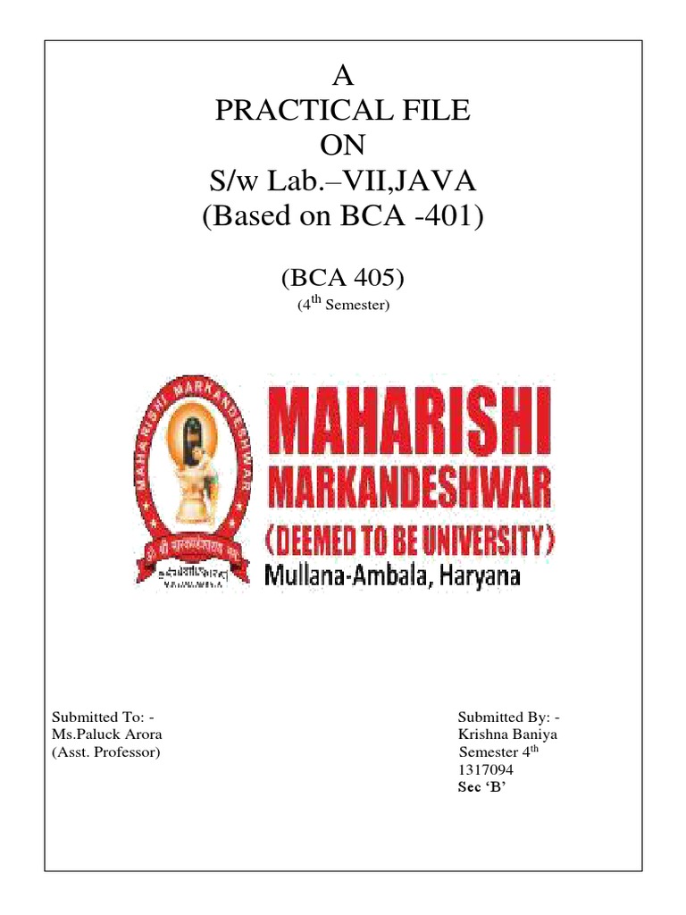 Practical File for Java Lab BCA 4th Sem | PDF