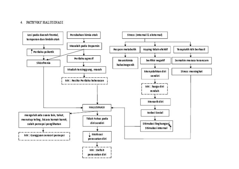 Pathway Halusinasi dalam Skizofrenia | PDF