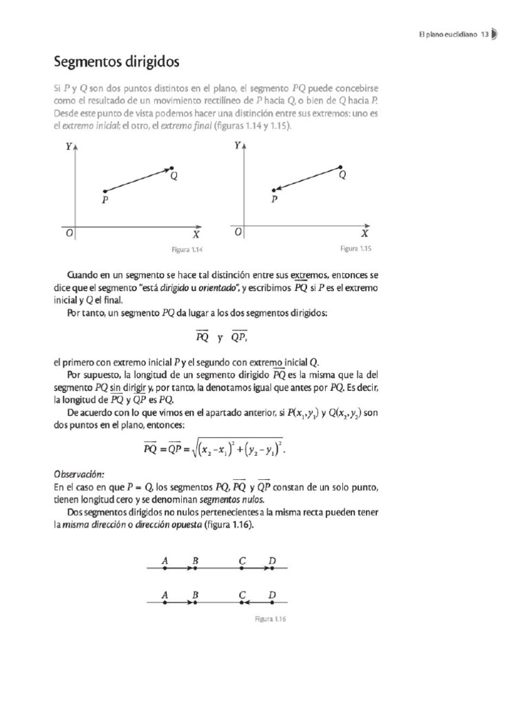 Segmentos Dirigidos | PDF