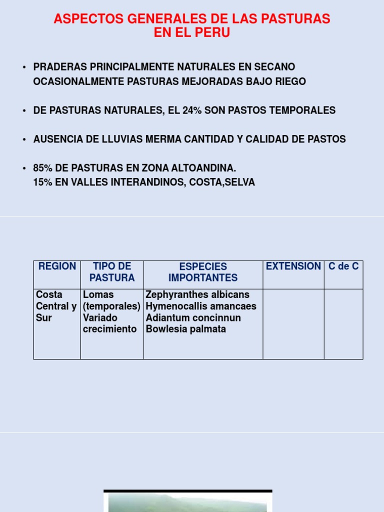 Pasturas del Perú: Tipos y Distribución | PDF | Forraje | Cultivos