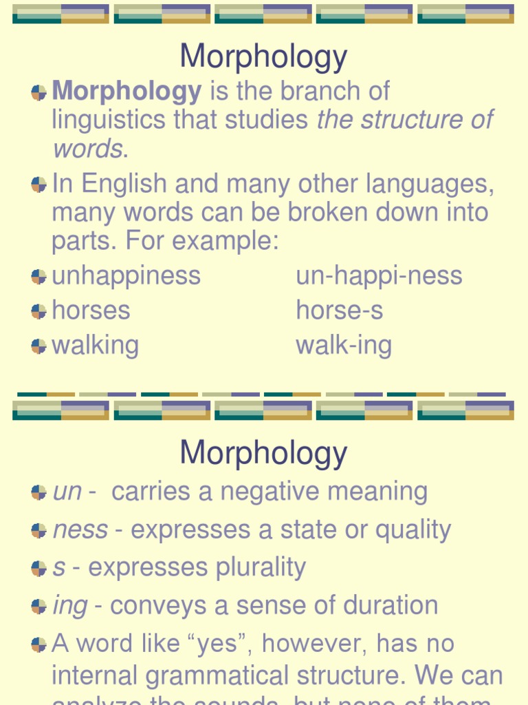 Morphology Is The Branch of | PDF | Morphology (Linguistics) | Word