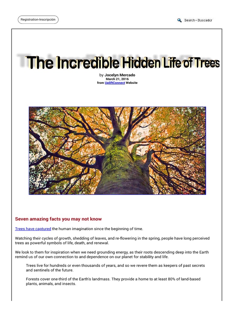 Seven Amazing Facts About the Hidden Life of Trees | PDF | Rainforest ...