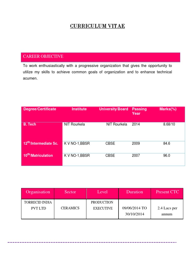Curriculum Vitae: Career Objective | PDF