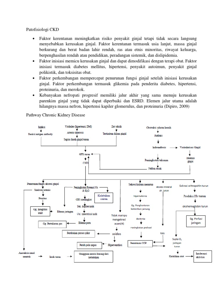Patofisiologi CKD + Manifes + Risk Faktor | PDF