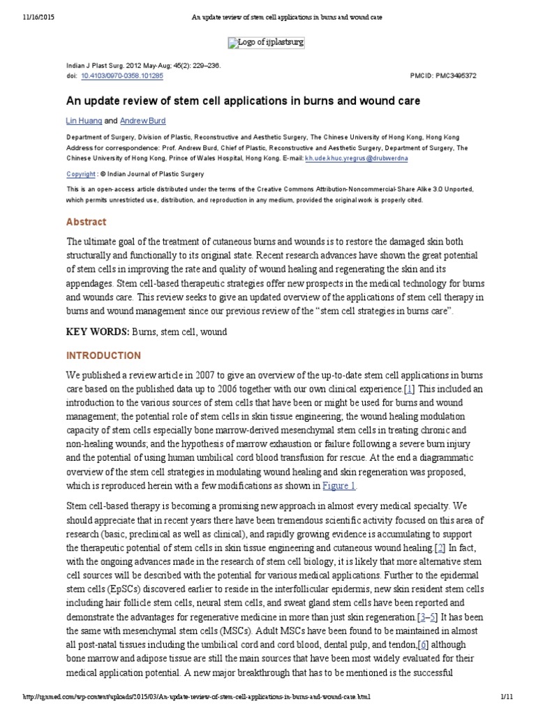Stem Cell | Download Free PDF | Mesenchymal Stem Cell | Cell Potency