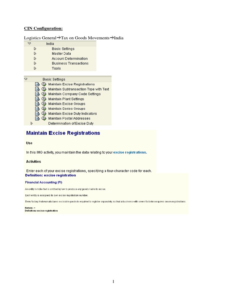 CIN Configuration | PDF