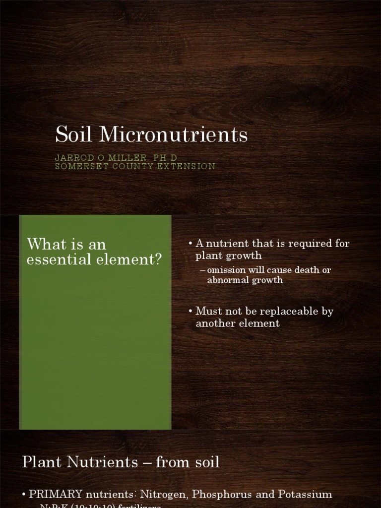 Soil Micronutrients Final | PDF | Plant Nutrition | Nutrients