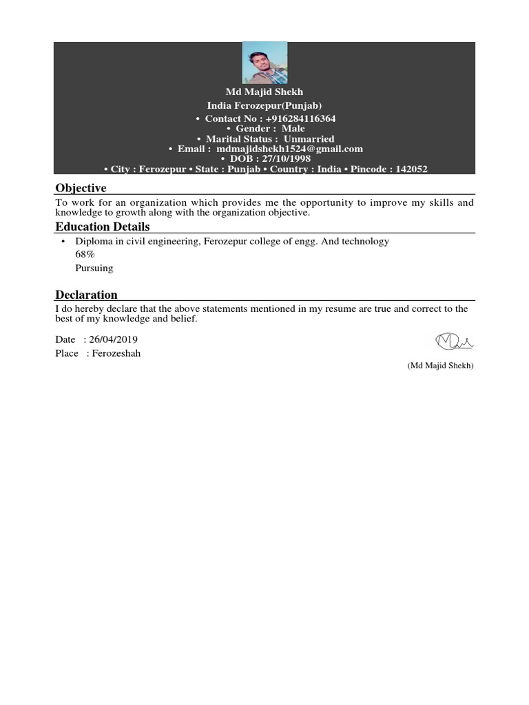 Md Majid Shekh - Civil Engineering Resume | PDF