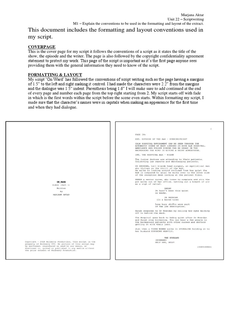 This Document Includes The Formatting and Layout Conventions Used in My ...