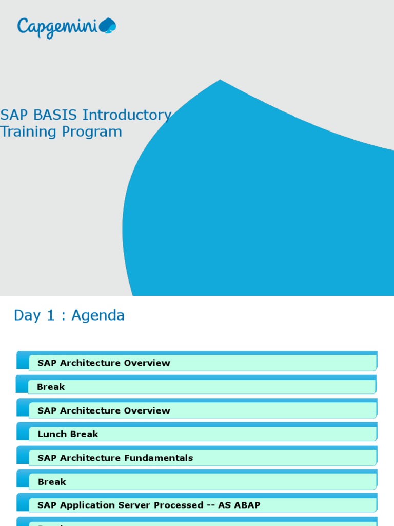 1.SAP BASIS Introductory Training Program - Day 1 | PDF | Sap Se | Application Server