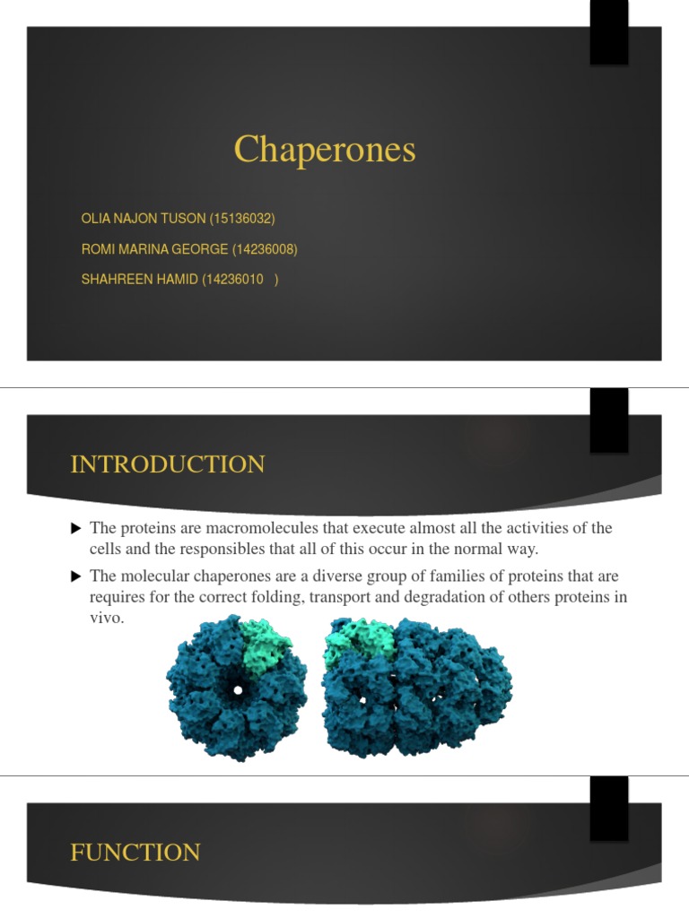 Molecular Chaperones in Protein Folding | PDF | Chaperone (Protein ...