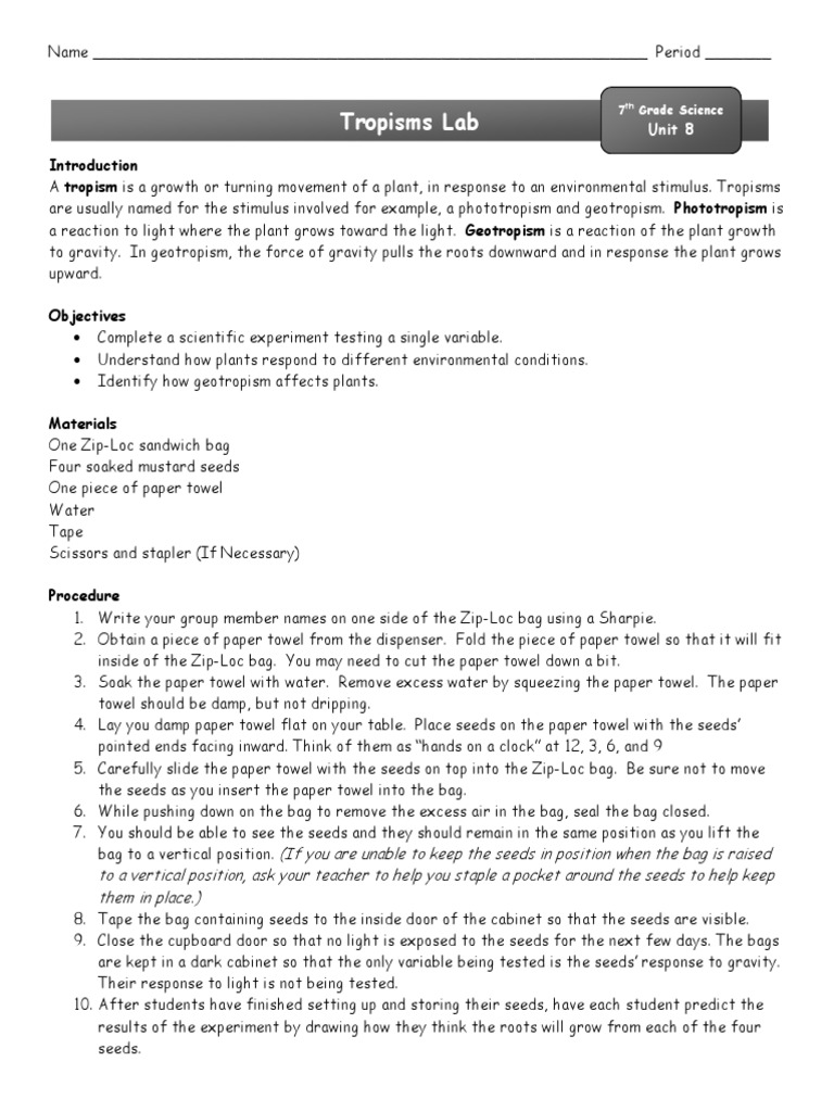 Tropisms Lab - 2019 PDF | PDF | Plants | Horticulture And Gardening