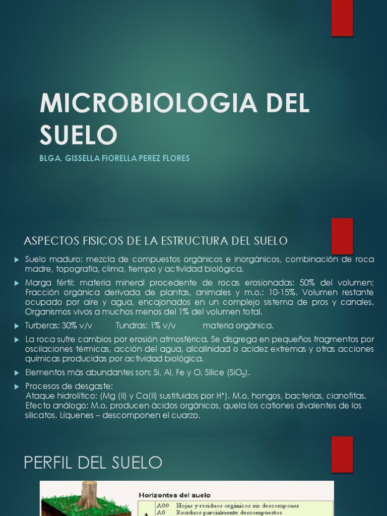 Microbiologia Del Suelo 1 | PDF | Suelo | Carbohidratos