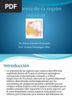 Anatomía de la Región Inguinocrural | PDF | Abdomen | Anatomía