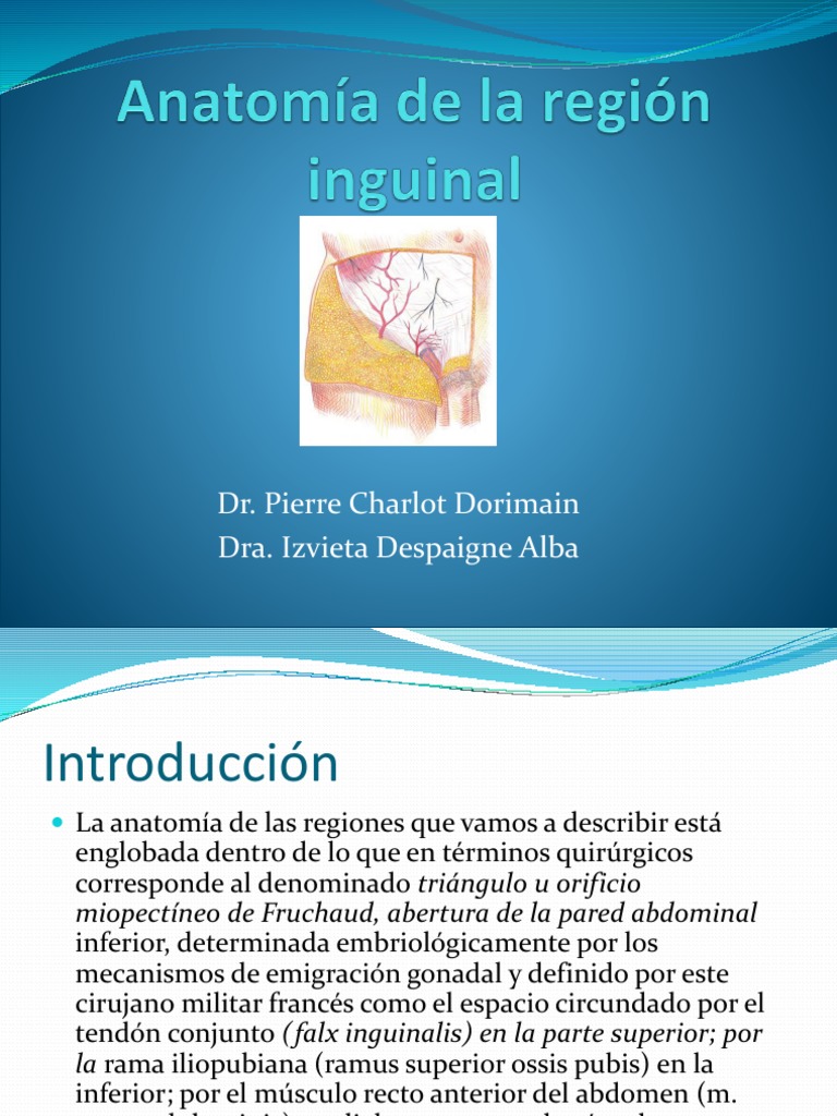 Anatomía de la Región Inguinal | PDF | Abdomen | Sistema musculoesquelético