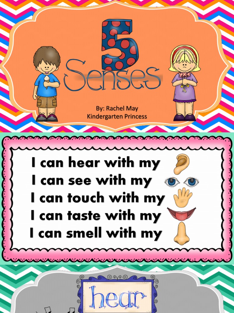 5 Senses Posters | PDF