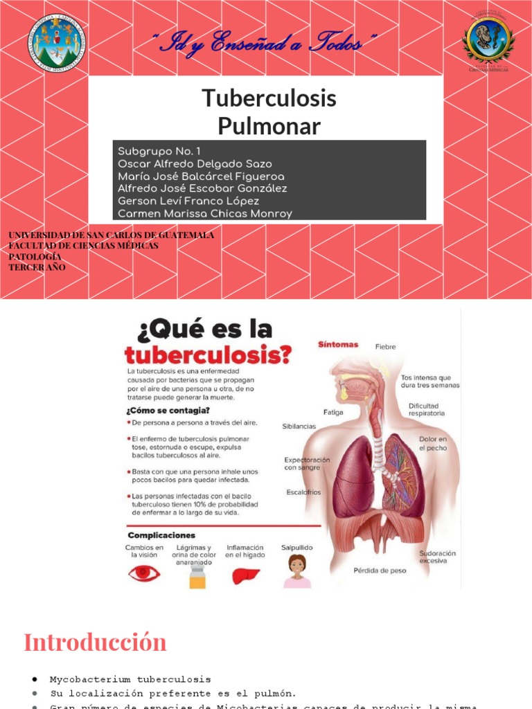 Tuberculosis Pulmonar | PDF | Inflamación | Mycobacterium