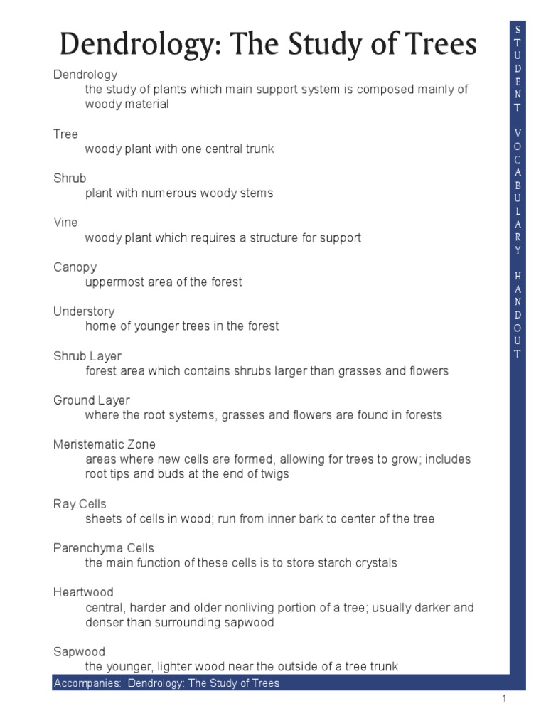 Dendrology Vocabulary | PDF | Trees | Wood
