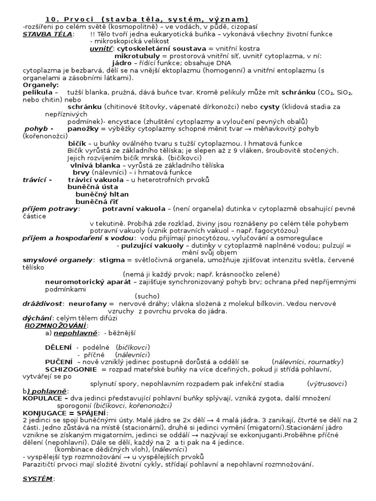 10 - Prvoci (Stavba Tela, System, Vyznam) | PDF