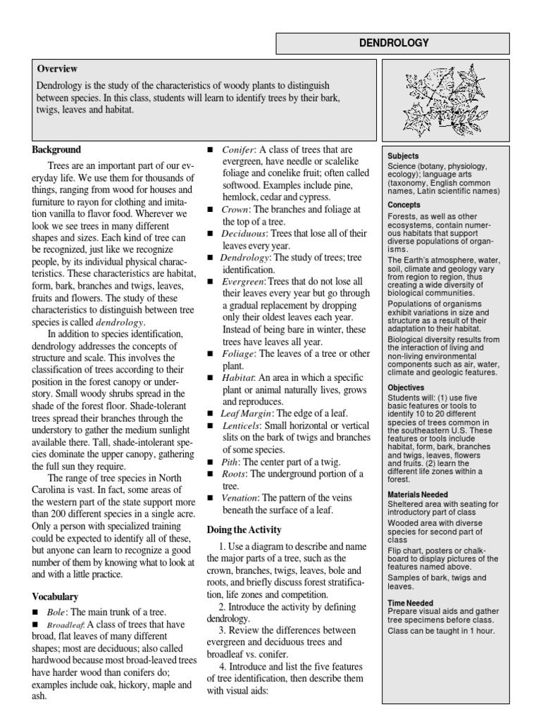 Dendrology.pdf | Trees | Leaf
