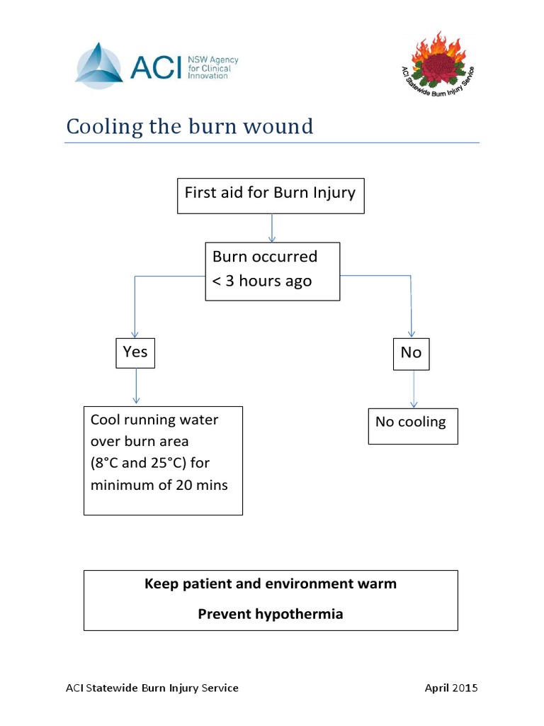 Cooling The Burn Wound Algorithm 2a | PDF