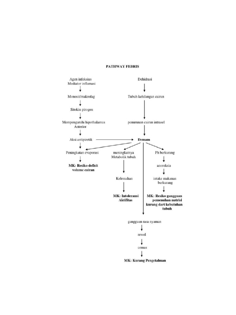 Pathway Febris | PDF