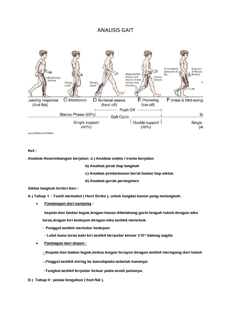 Analisis Gait | PDF | Kesehatan Holistik
