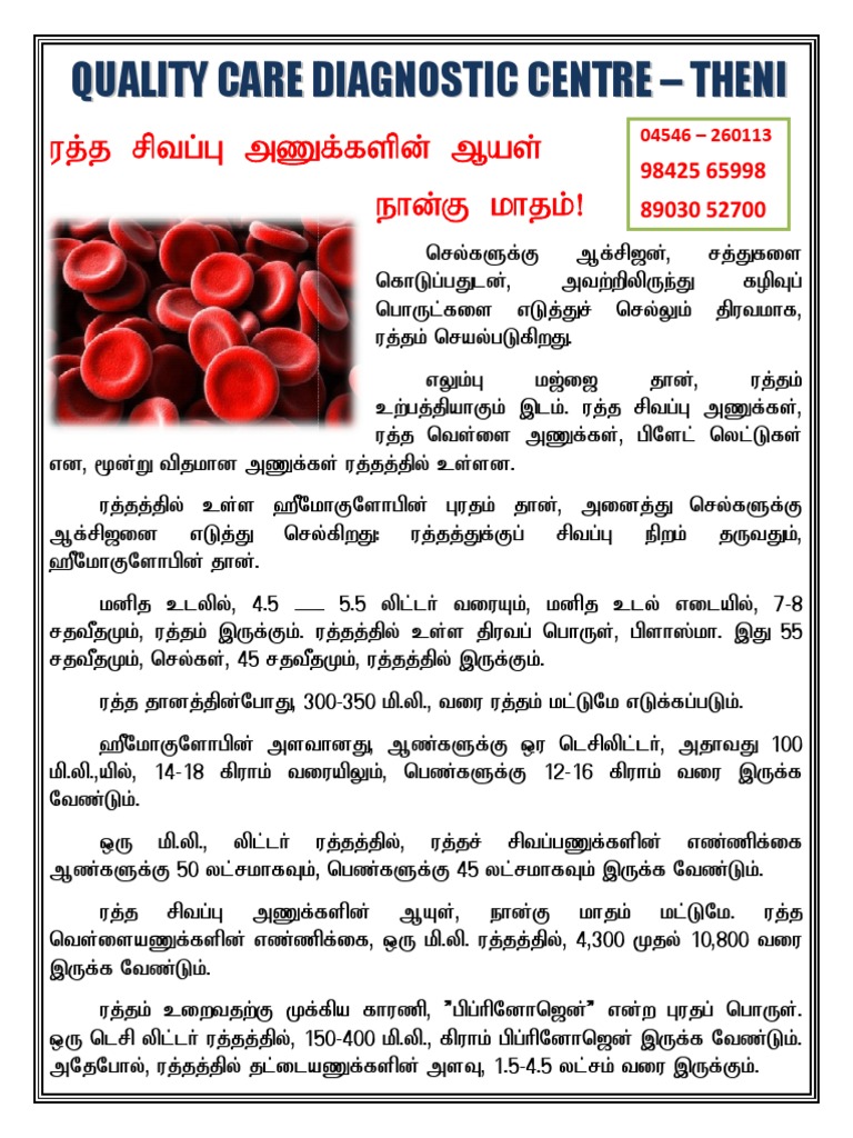 Red Blood Cell | PDF