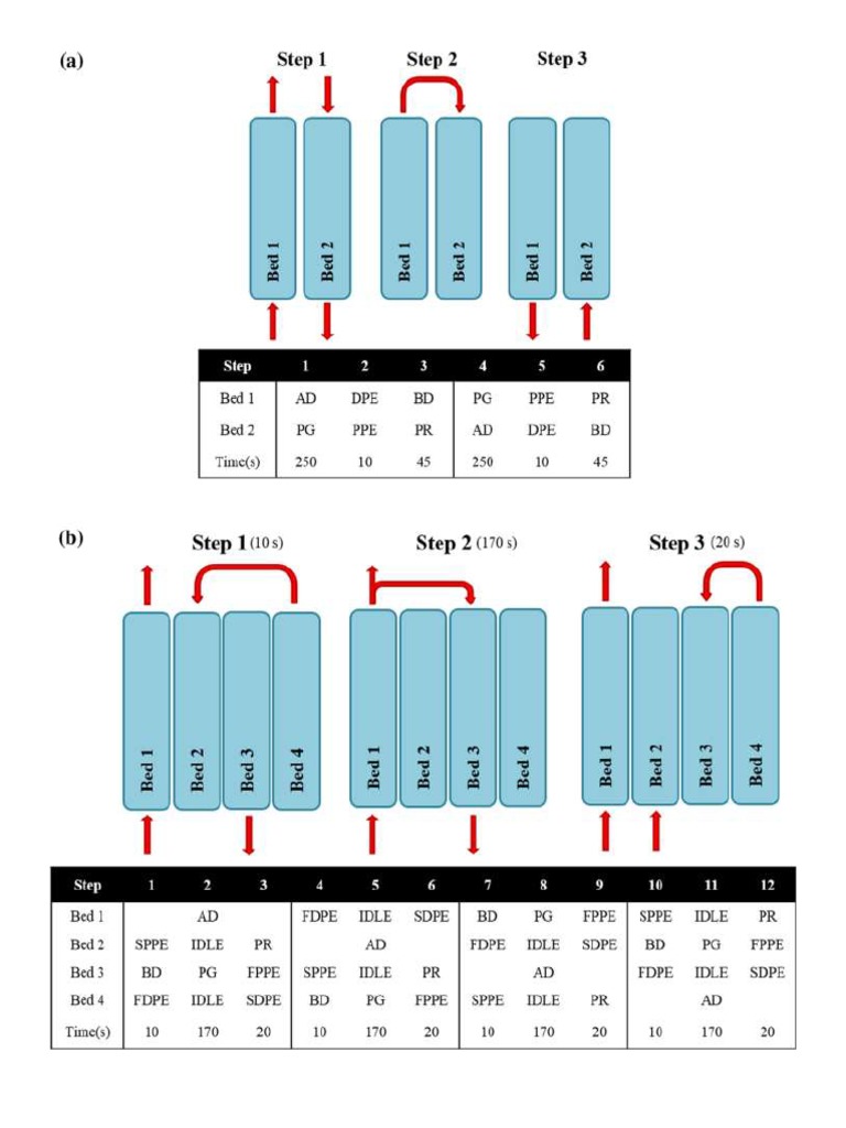 PSA 4 Beds 12 Steps | PDF | Science & Mathematics