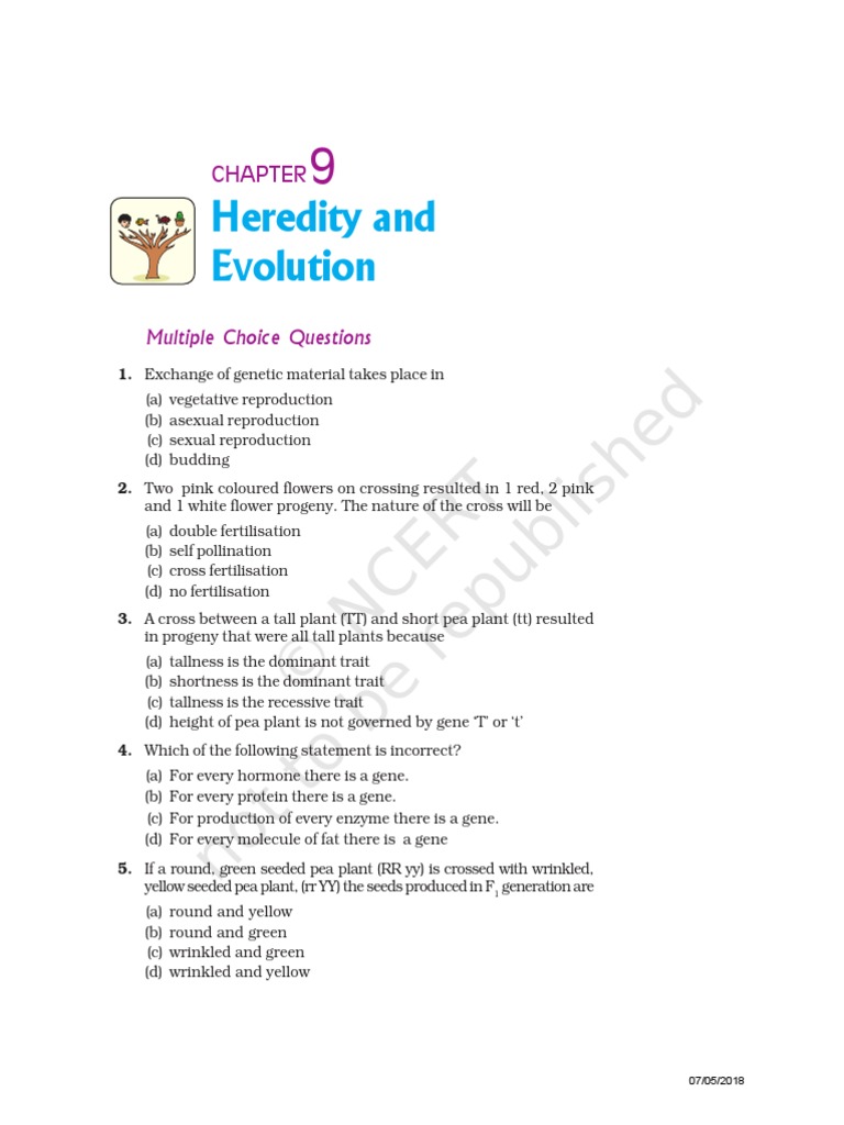 Genetics and Evolution MCQs | PDF | Heredity | Evolution