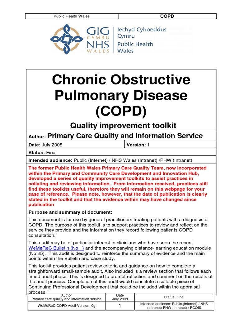 Copd Audit Tool | PDF | Chronic Obstructive Pulmonary Disease ...