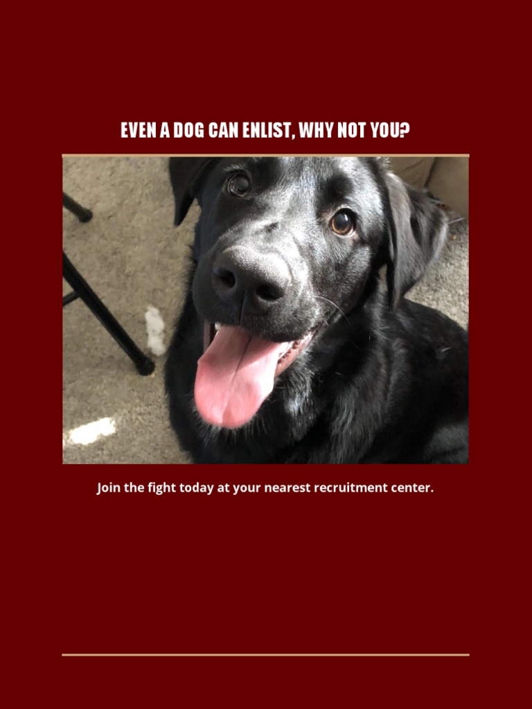 Enlist Today: Join the Fight! | PDF
