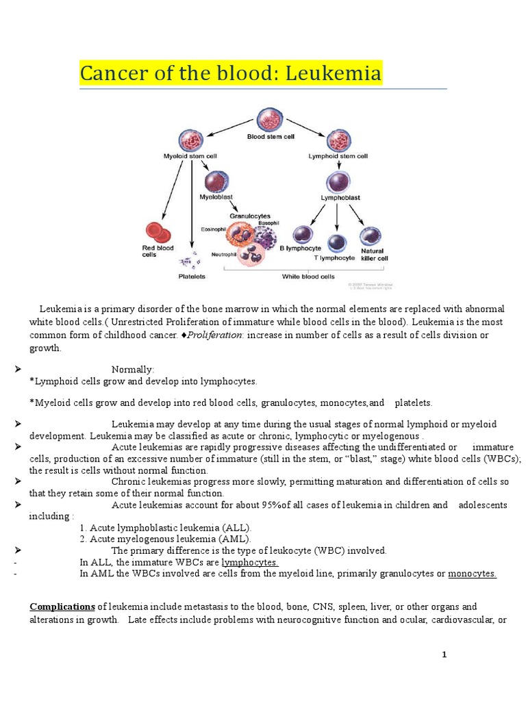 Leukemia | PDF | Leukemia | White Blood Cell