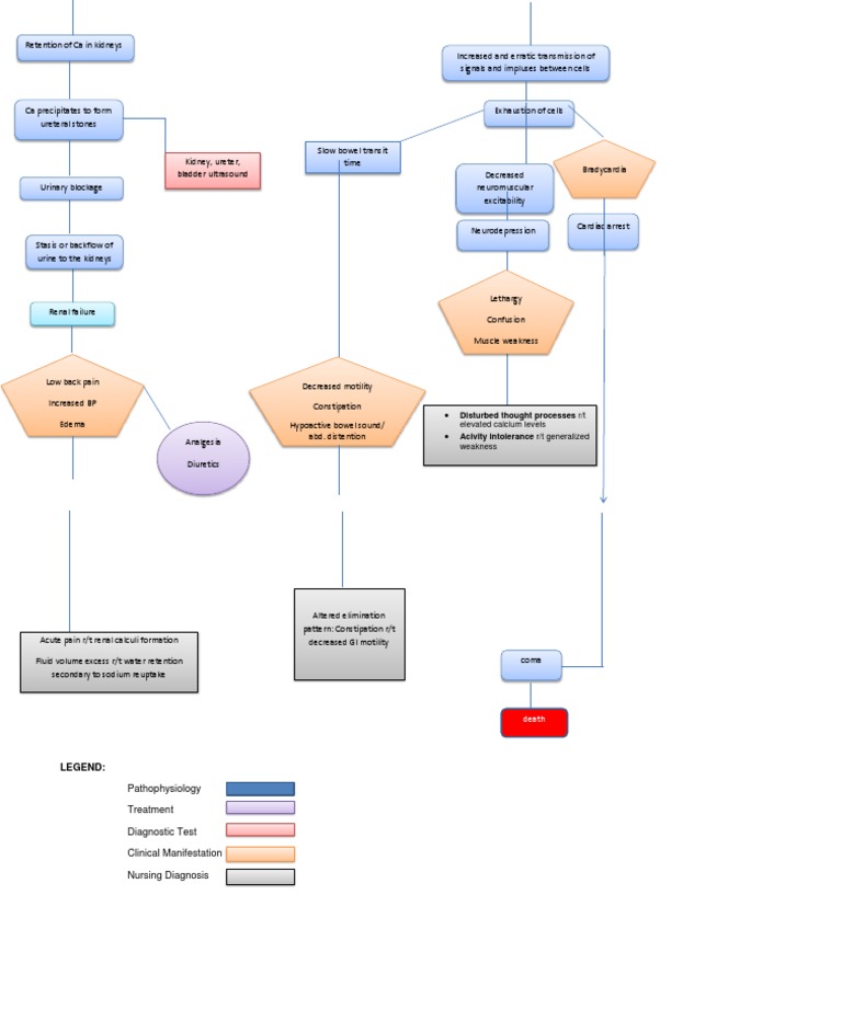Concept Map Hypercalcemia Part 2 | PDF | Kidney | Medicine
