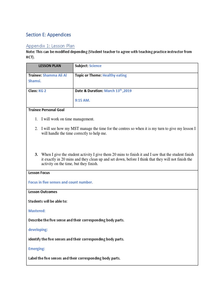 Section E: Appendices Appendix 1: Lesson Plan | PDF | Senses | Lesson Plan