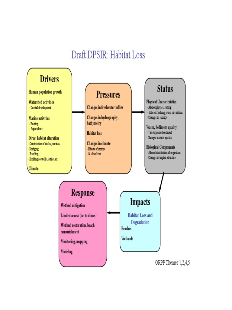 Dpsir Examplemodels | PDF | Eutrophication | Wetland