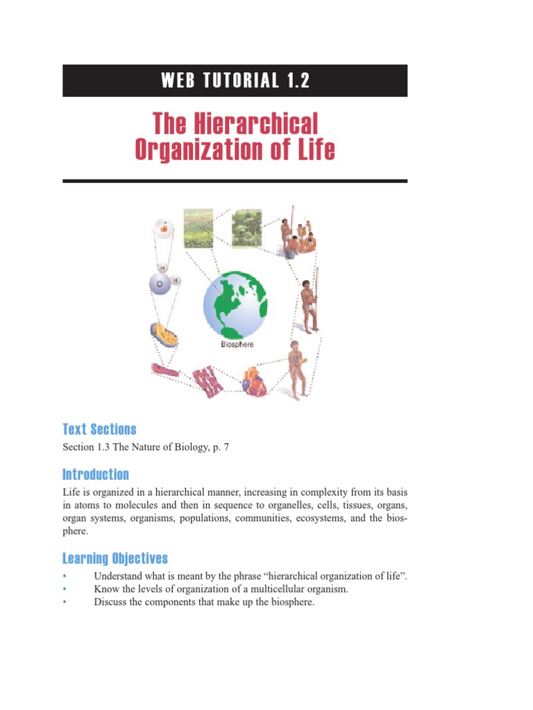 The Hierarchical Organization of Life: Web Tutorial 1.2 | PDF | Life ...