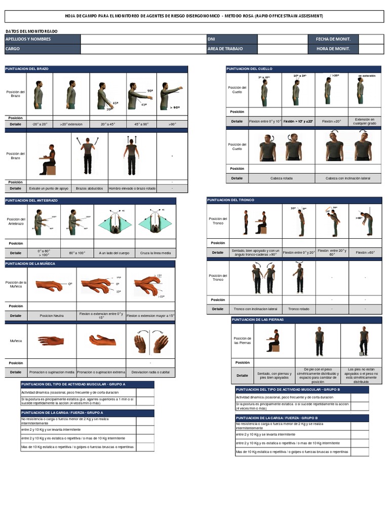Hoja de Evaluación RULA | PDF | Naturaleza