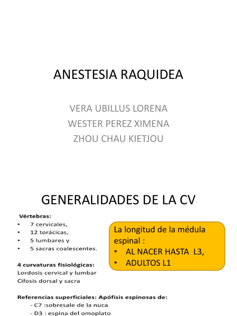 Anestesia Raquídea: Generalidades y Contraindicaciones | PDF | Médula ...