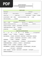 Modelo de SAE para Enfermagem | PDF | Doenças e distúrbios ...