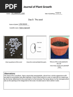 Bean Seed Growth Investigation 2025 | PDF | Seed | Organisms