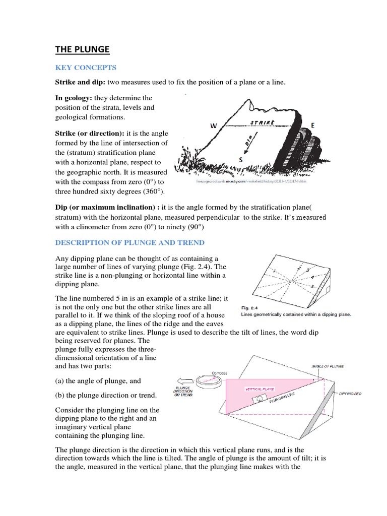 The Plunge: Key Concepts | PDF | Geometry | Teaching Mathematics
